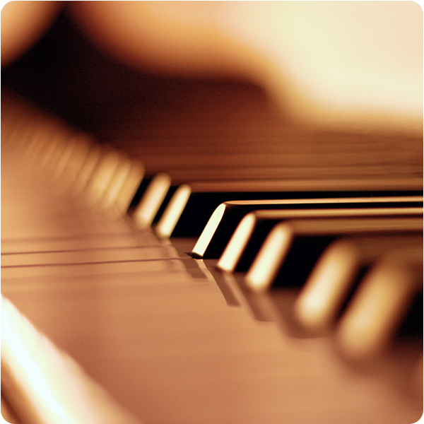 Michael Prattes - Customized English Seminars